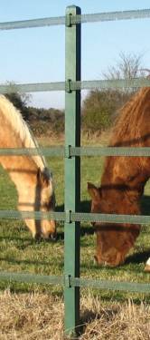 The HorseGuard T-PostGuard | HorseGuard.us